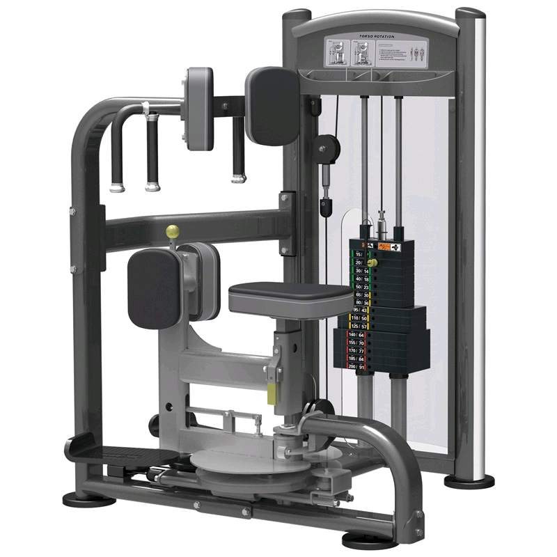 Твистер-машина Impulse Torso Rotation Machine - купить в Киеве, цена 73 ...